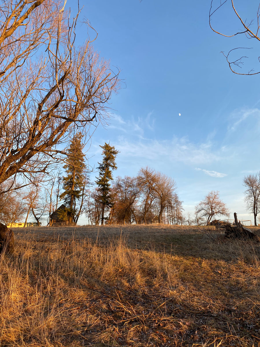 Reverence: Honoring The Autumn Element – Essential Apothecary Alchemist